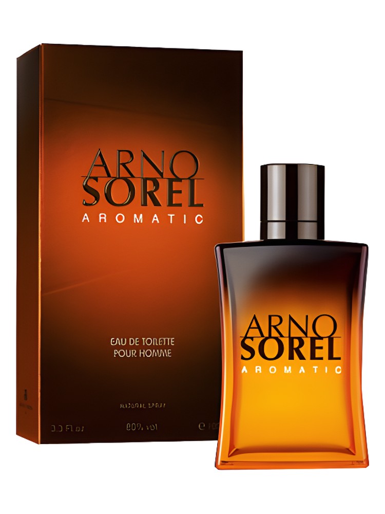 Aromatic Arno Sorel cologne - a fragrance for men