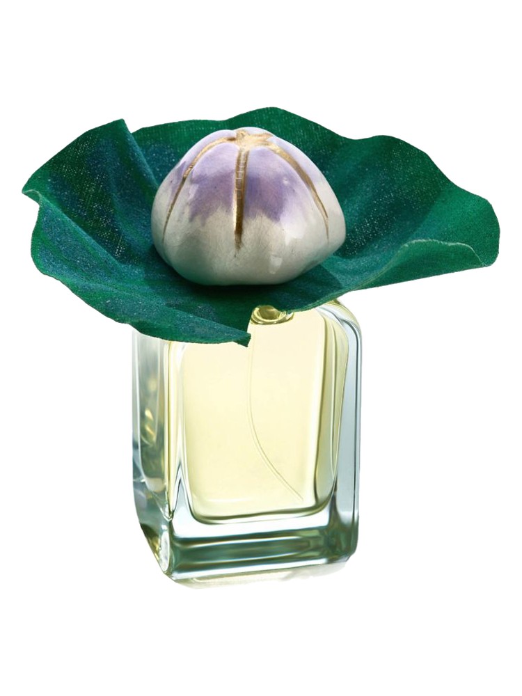 Mauna Mendittorosa perfume - a fragrance for women and men 2024