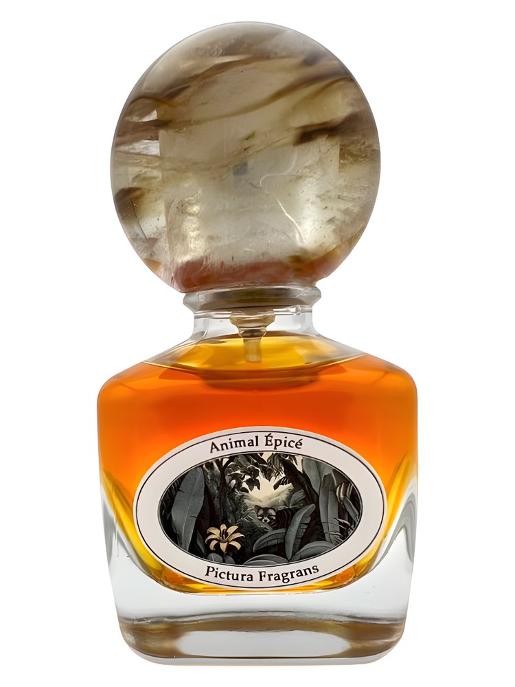 Animal Épicé Pictura Fragrans perfume - a fragrance for women and men 2023