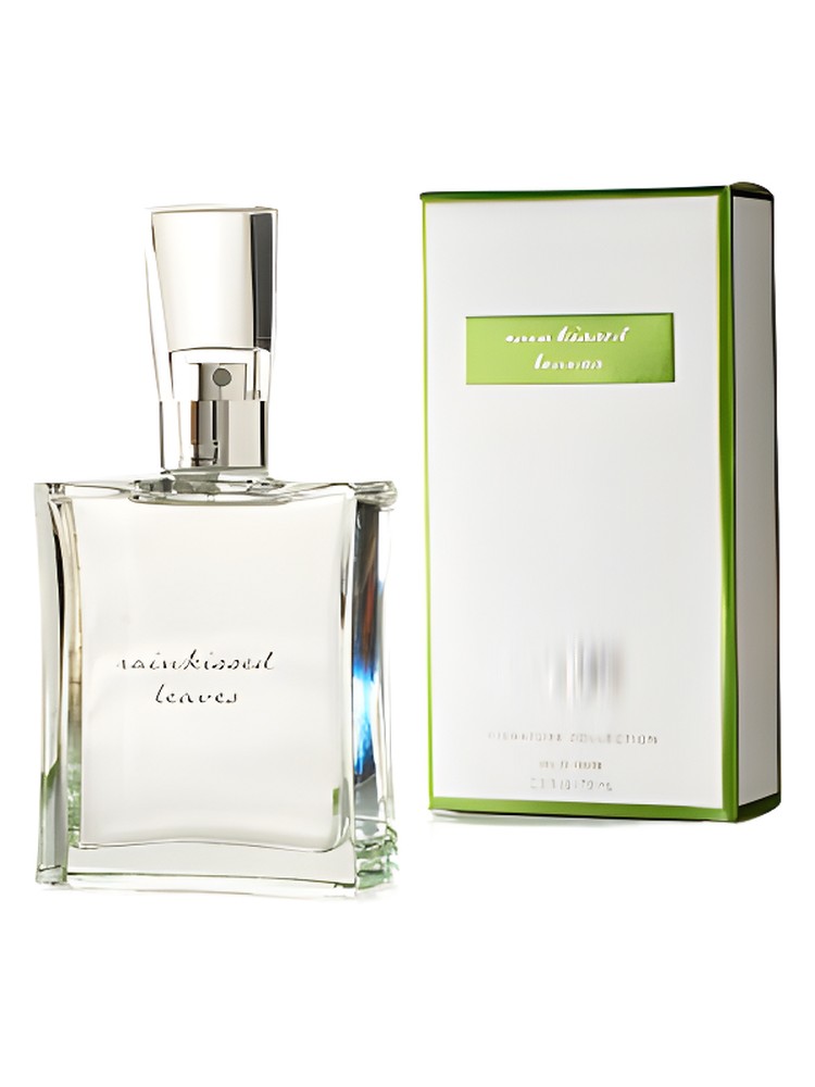 Rainkissed Leaves Bath & Body Works perfume - a fragrance for women
