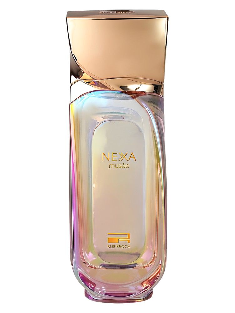 Nexa Musée Rue Broca perfume - a new fragrance for women 2024