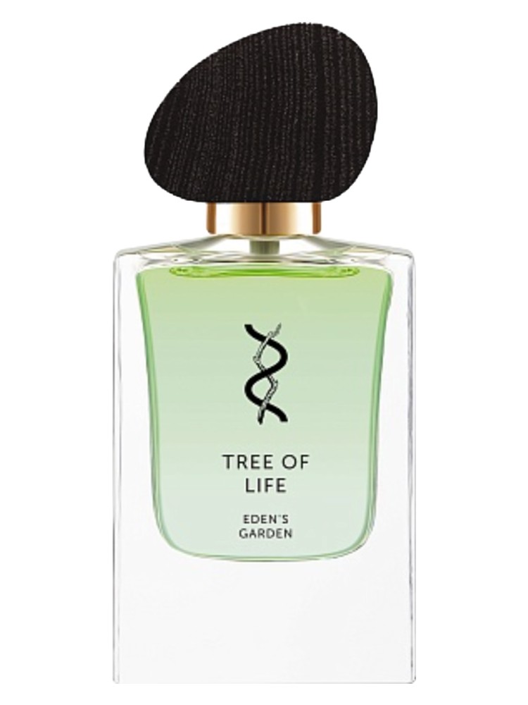 Eden's Garden Tree Of Life perfume - a fragrance for women and men 2024