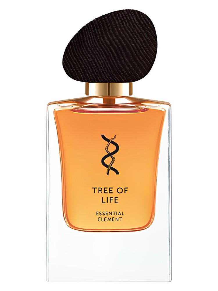 Essential Element Tree Of Life perfume - a new fragrance for women and ...