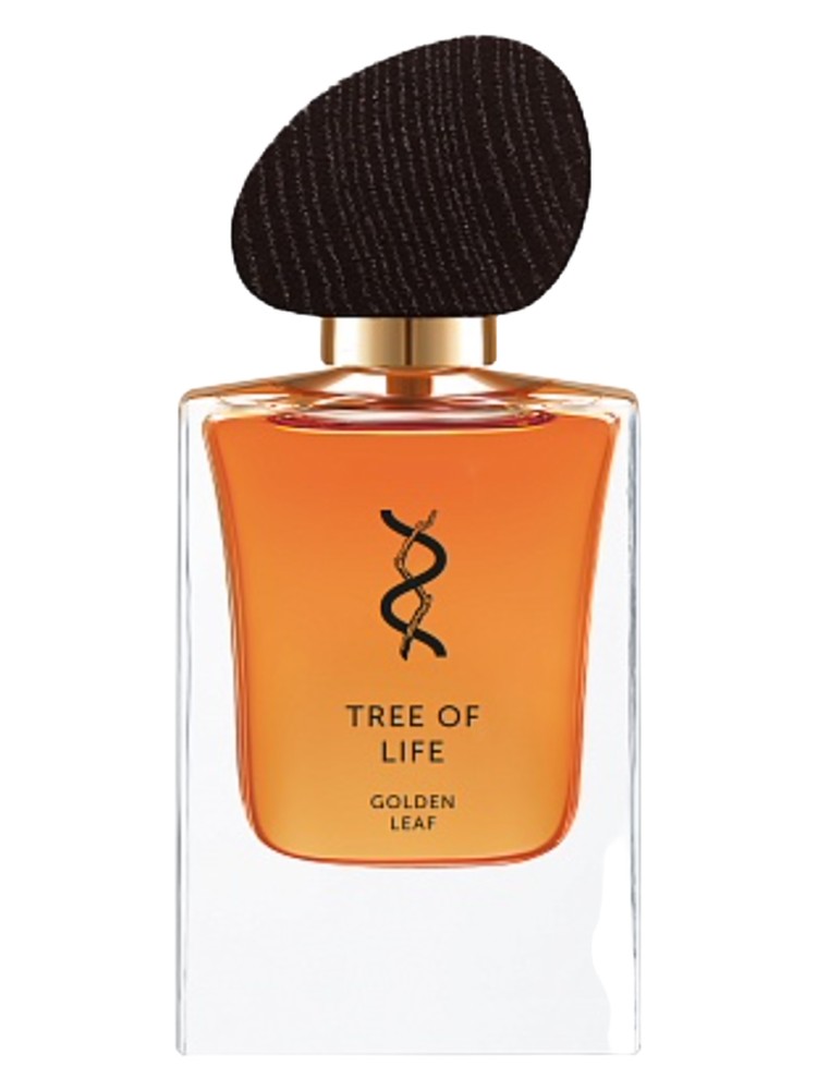 Golden Leaf Tree Of Life parfum - un nouveau parfum pour homme et femme ...