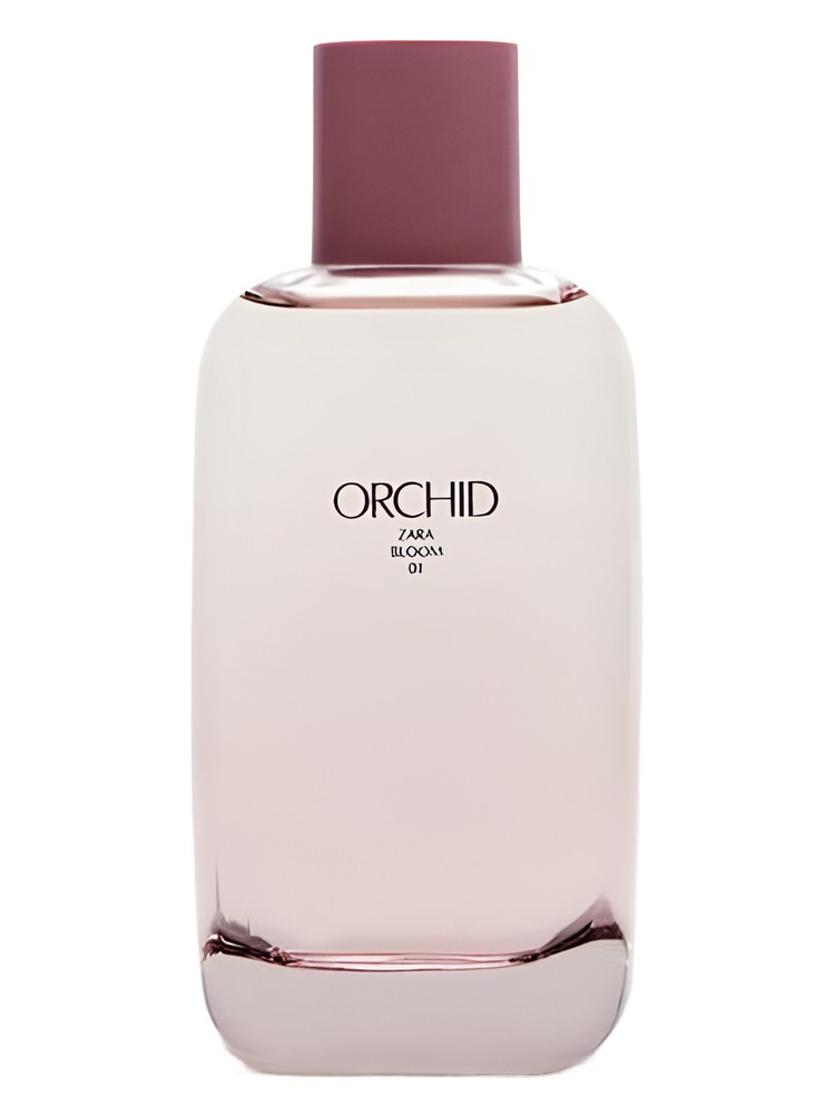 Orchid Bloom 01 Zara perfume - a fragrance for women 2021