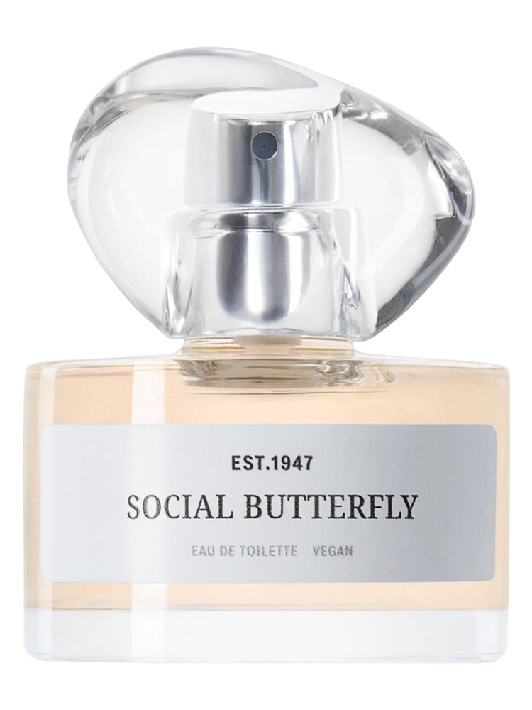 Social Butterfly H&M perfume - a fragrance for women 2024