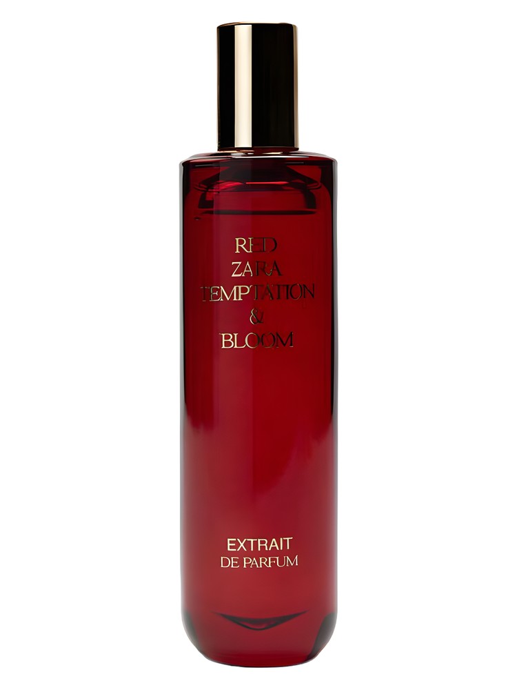 Red Temptation Bloom Zara perfume - a fragrance for women 2024