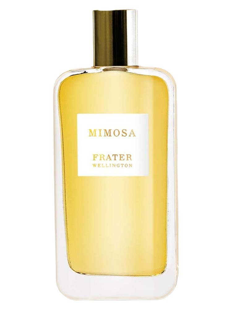 Mimosa Frater perfume - a fragrance for women 2022