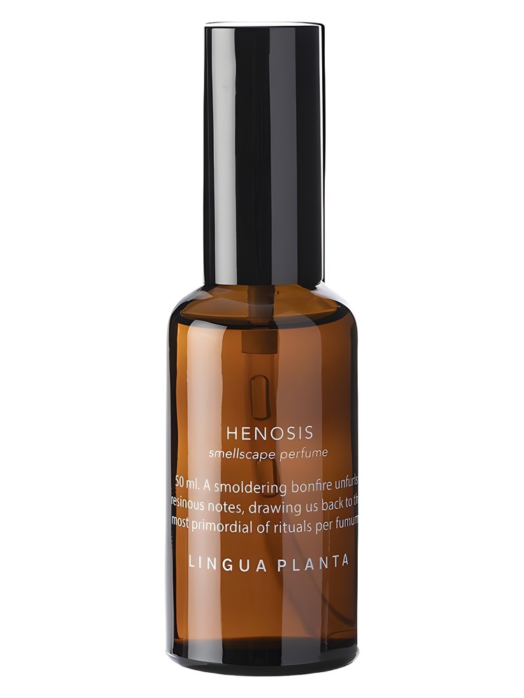Henosis Lingua Planta perfume - a fragrance for women and men