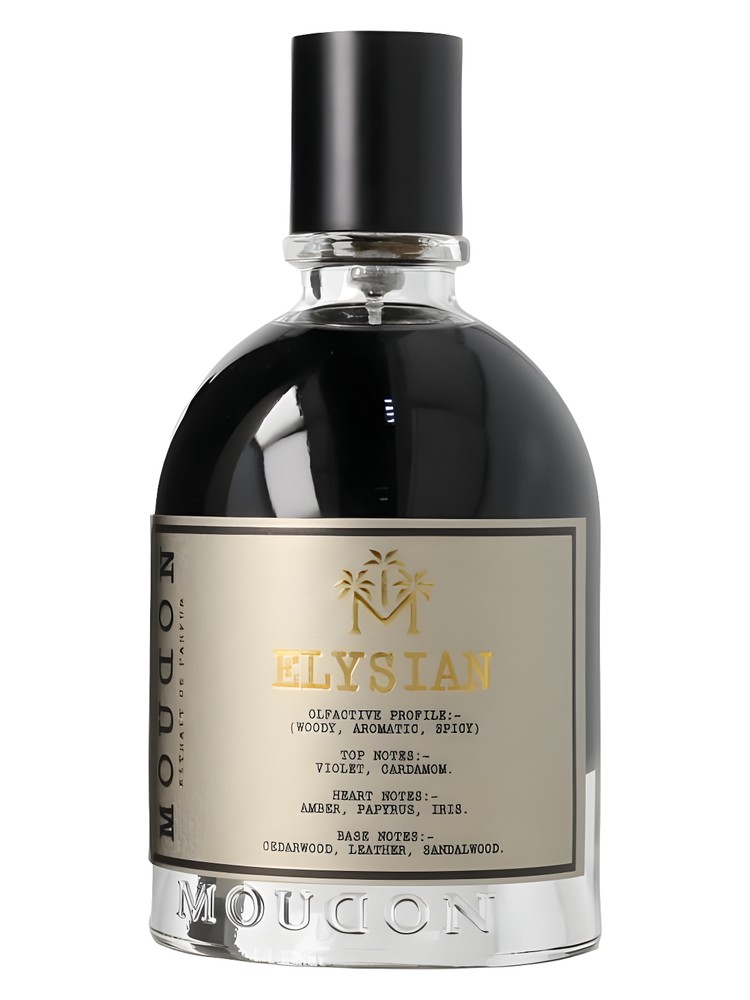 Elysian Moudon perfume - a new fragrance for women and men 2024