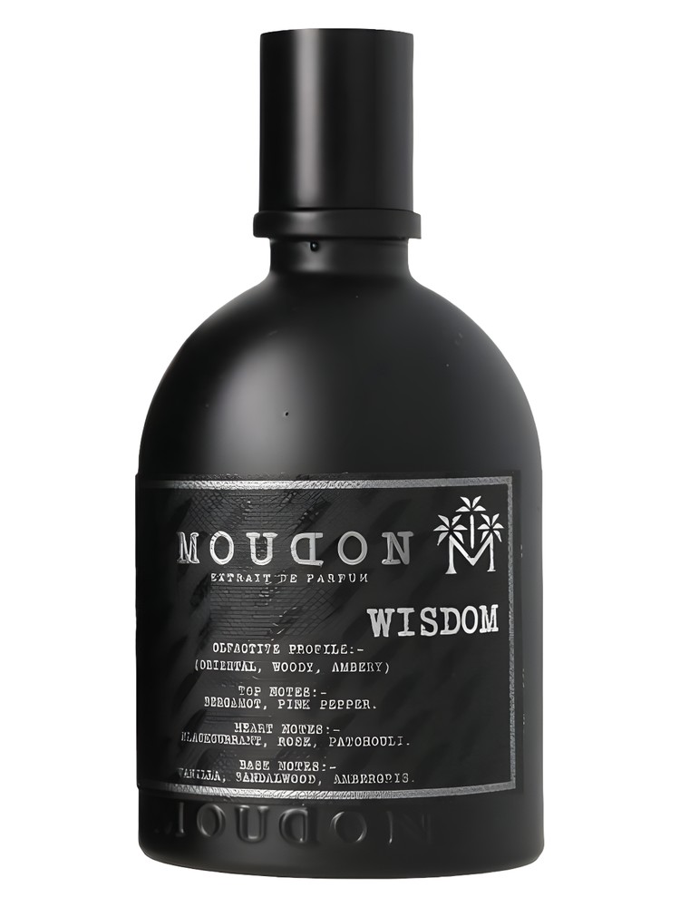 Wisdom Moudon perfume - a new fragrance for women and men 2024