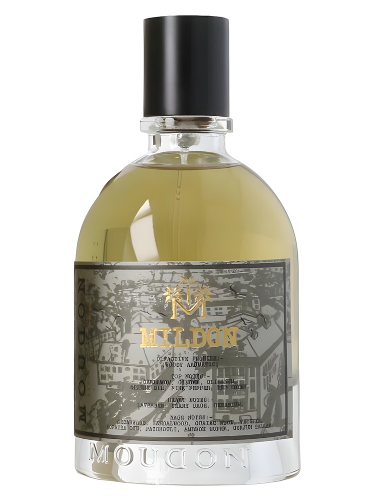 Mildon Moudon perfume - a fragrance for women and men 2024