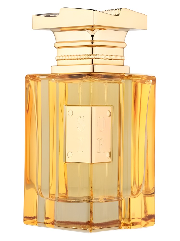 Soir Fragrance World perfume - a new fragrance for women and men 2024