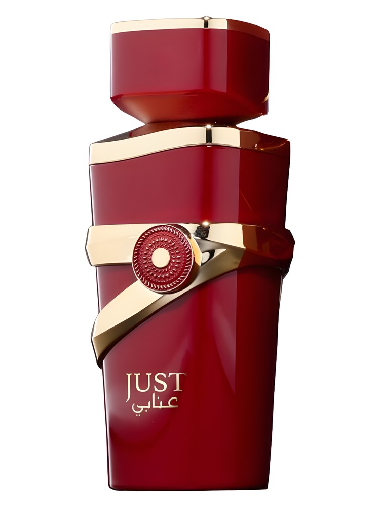 Just Anabi Fragrance World perfume - a fragrance for women 2023