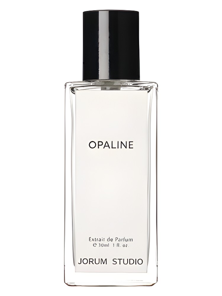 Opaline Jorum Studio perfume - a new fragrance for women and men 2024