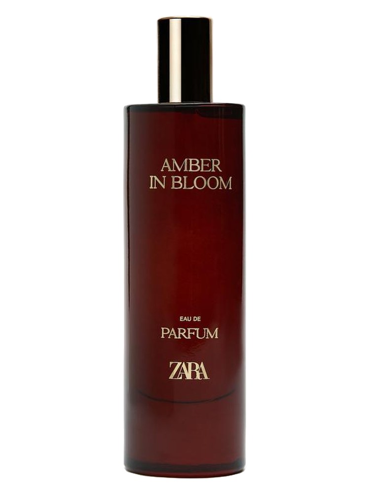 Amber In Bloom Zara perfume - a new fragrance for women 2024