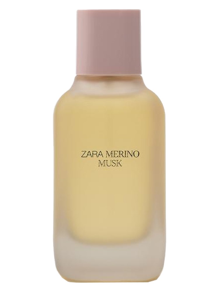 Merino Musk Zara perfume - a new fragrance for women 2024