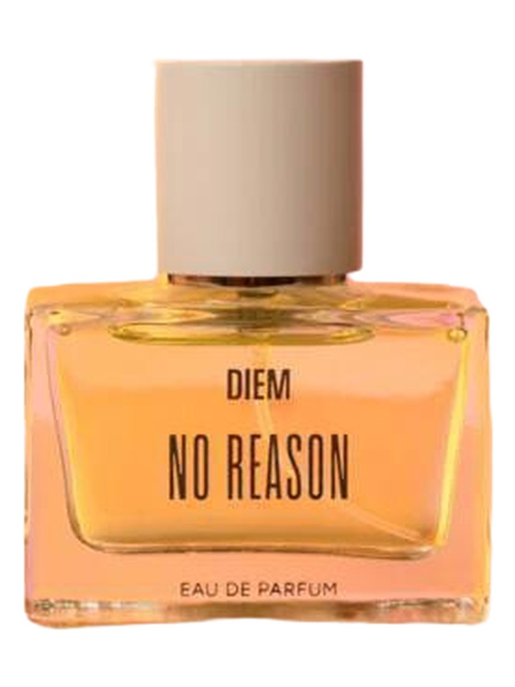 No Reason DIEM perfume - a new fragrance for women and men 2024