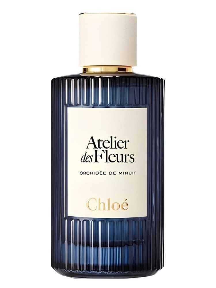 Orchidée de Minuit Chloé perfume - a new fragrance for women and men 2024