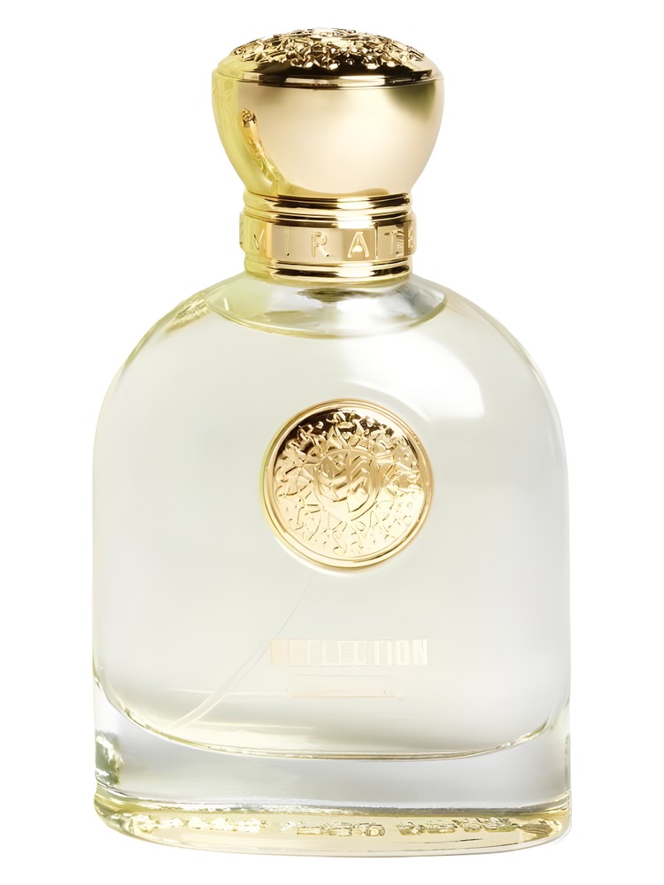 Reflection Emirates Pride Perfumes cologne - a new fragrance for men 2024