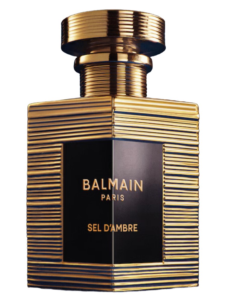 Sel d'Ambre Pierre Balmain perfume - a new fragrance for women and men 2024