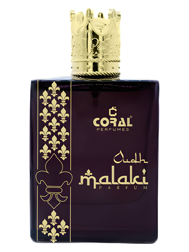 Oudh Malaki Coral Perfumes perfume - a new fragrance for women and men 2024