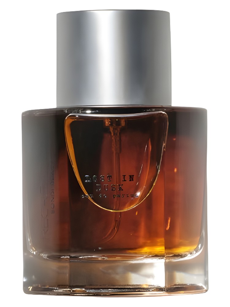 Lost in Dusk Recreation perfume - a new fragrance for women and men 2024