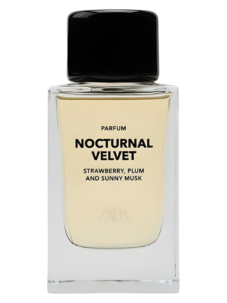 Nocturnal Velvet Zara perfume - a new fragrance for women 2024