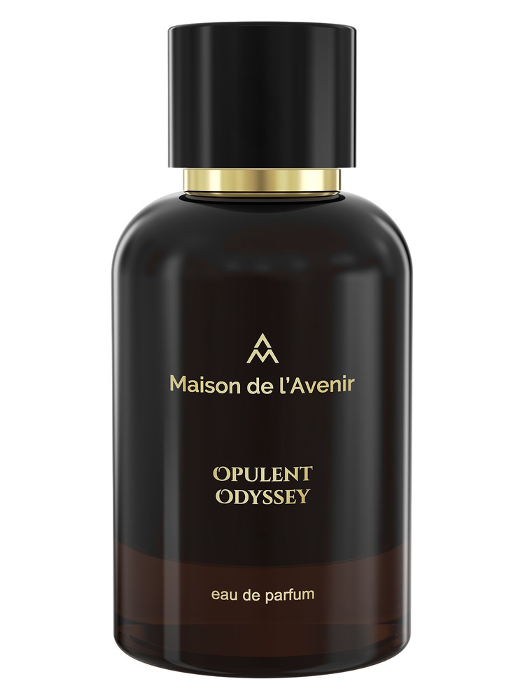 Opulent Odyssey Maison de l'Avenir perfume - a new fragrance for women ...