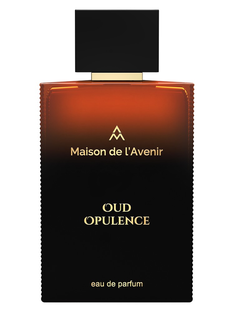 Oud Opulence Maison de l'Avenir perfume - a new fragrance for women and ...