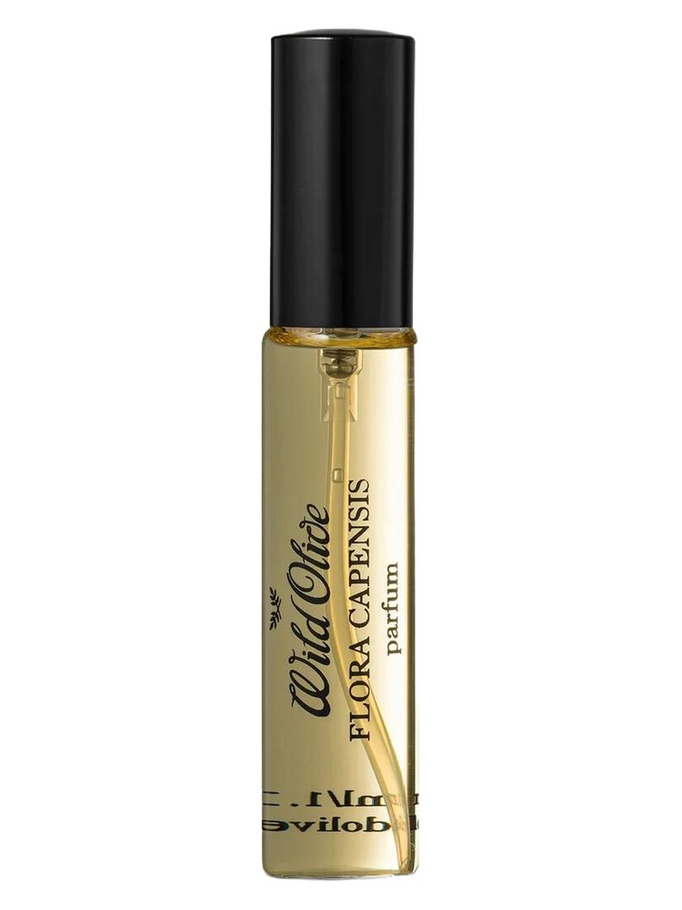 Flora Capensis Wild Olive Artisans perfume - a fragrance for women and ...