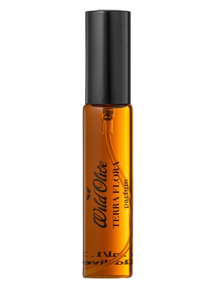 Terra Flora Wild Olive Artisans perfume - a fragrance for women and men ...