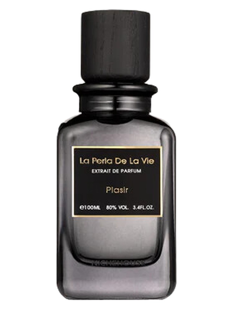 Plasir Niche House perfume - a new fragrance for women 2024