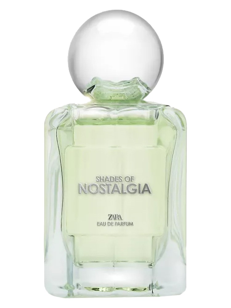 Shades Of Nostalgia Zara perfume - a new fragrance for women 2024