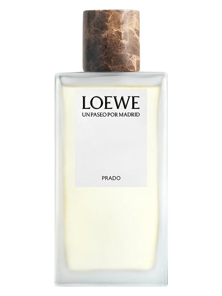 Prado Loewe perfume - a new fragrance for women and men 2024