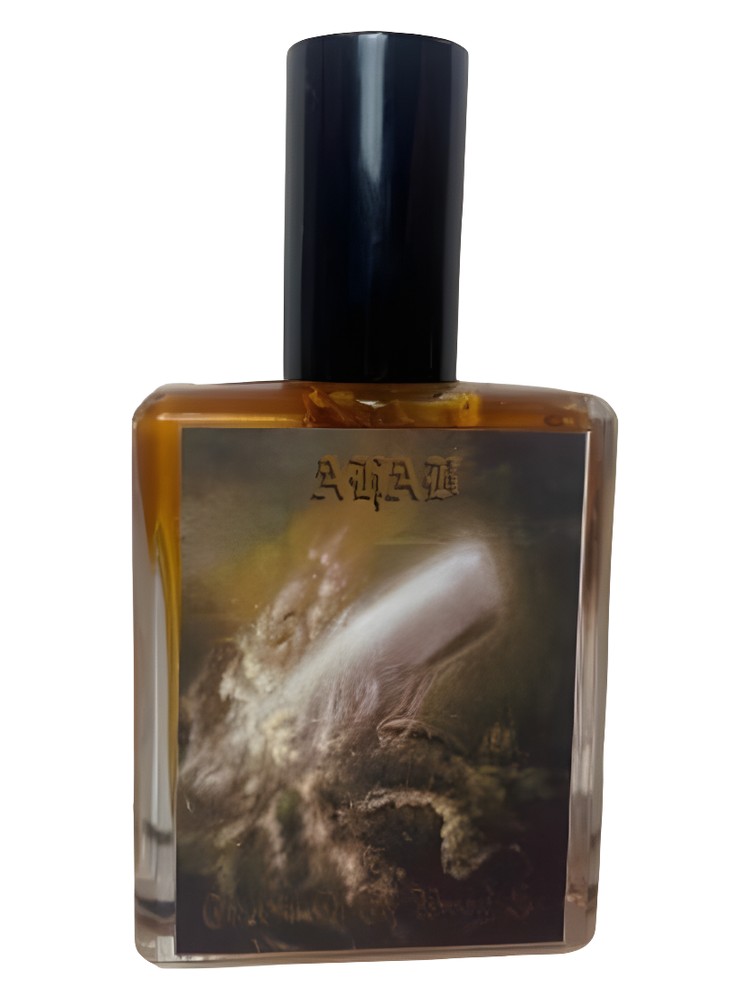 Call of the Wretched Sea Phronema Perfumes perfume - a new fragrance ...