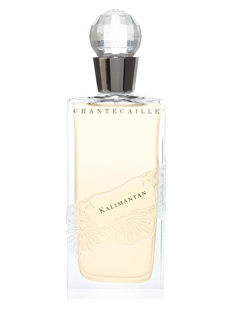 Kalimantan Chantecaille perfume - a fragrance for women 2010