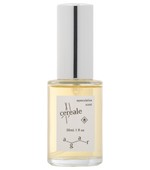 Bread perfume ingredient, Bread fragrance and essential oils