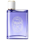 Sttes Brazilian Perfumes And Colognes