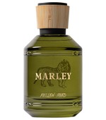 Marley Fragrance Perfumes And Colognes