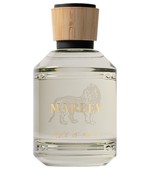 Marley Fragrance Perfumes And Colognes