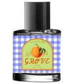 Fennel perfume ingredient, Fennel fragrance and essential oils ...