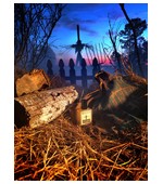 Sycamore perfume ingredient, Sycamore fragrance and essential oils ...