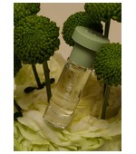 Ozonic Notes perfume ingredient, Ozonic Notes fragrance and essential oils