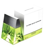 Senior Perfumer David Apel