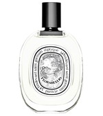 Fennel perfume ingredient, Fennel fragrance and essential oils ...