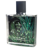 Fern perfume ingredient, Fern fragrance and essential oils Pteridophyta