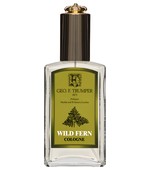 Fern perfume ingredient, Fern fragrance and essential oils Pteridophyta