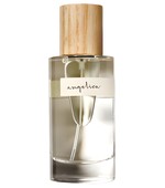 Angelica perfume ingredient, Angelica fragrance and essential oils ...