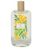 Mimosa perfume ingredient, Mimosa fragrance and essential oils Acacia ...